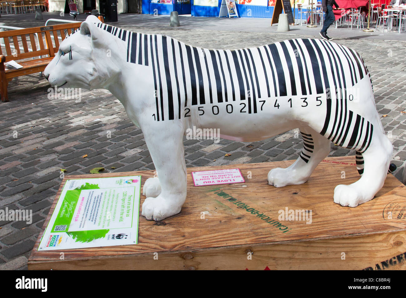 Edinburgh, Scotland, Grassmarket barcode tiger part of jungle city and ...
