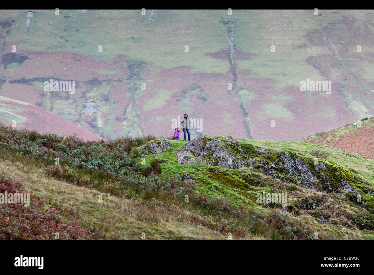 The Lakes - Newland's Pass, Newlands Hause, Moss Force Waterfall Stock ...