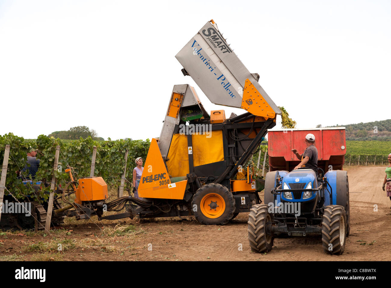 Grape Harvester High Resolution Stock Photography and Images - Alamy