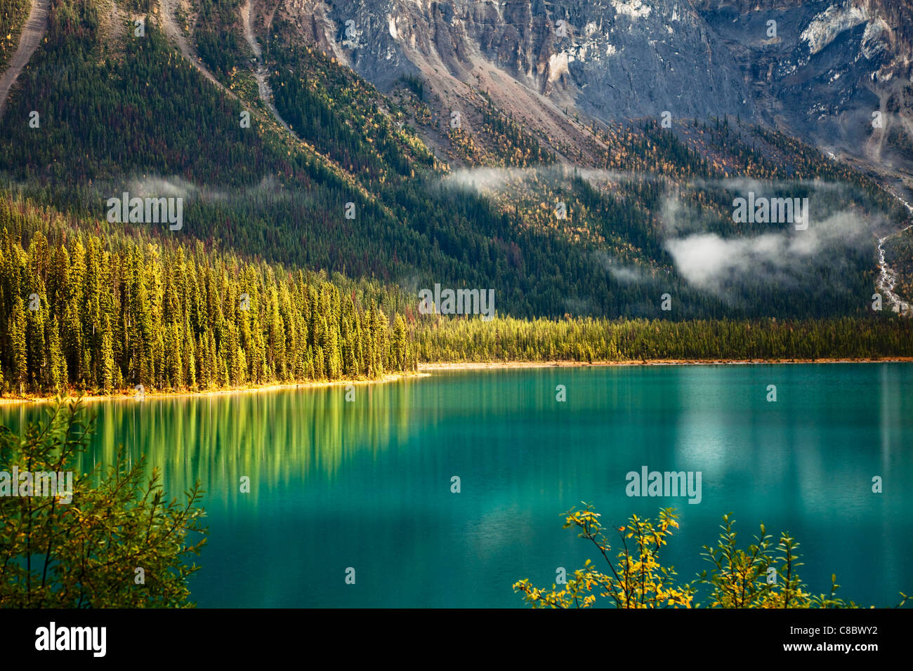 Emerald lake. Yoho National park. Alberta. Canada, Oct. 2011 Stock ...