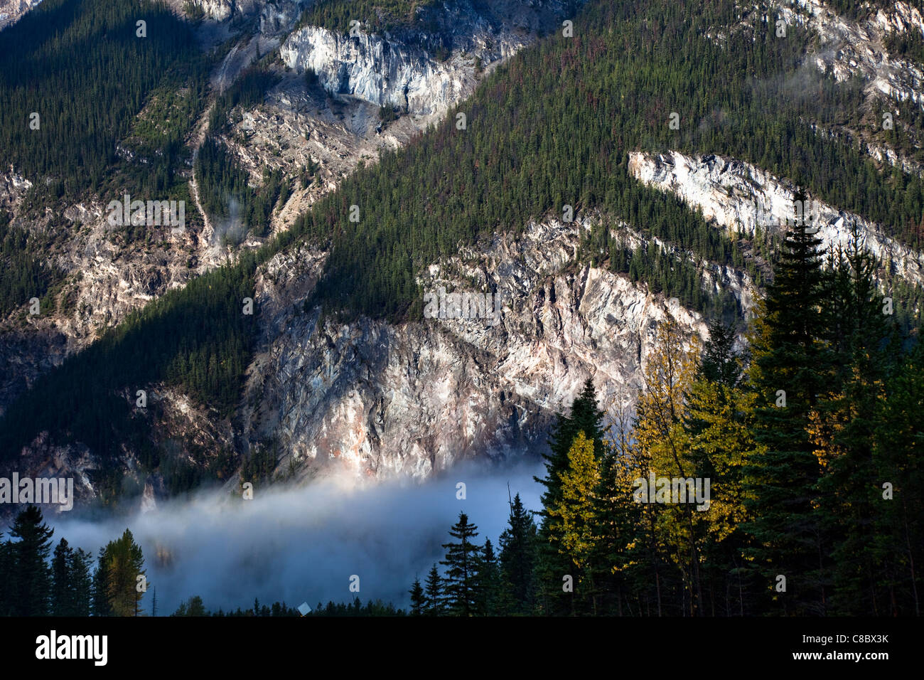 Yoho National park. Alberta. Canada, Oct. 2011 Stock Photo - Alamy