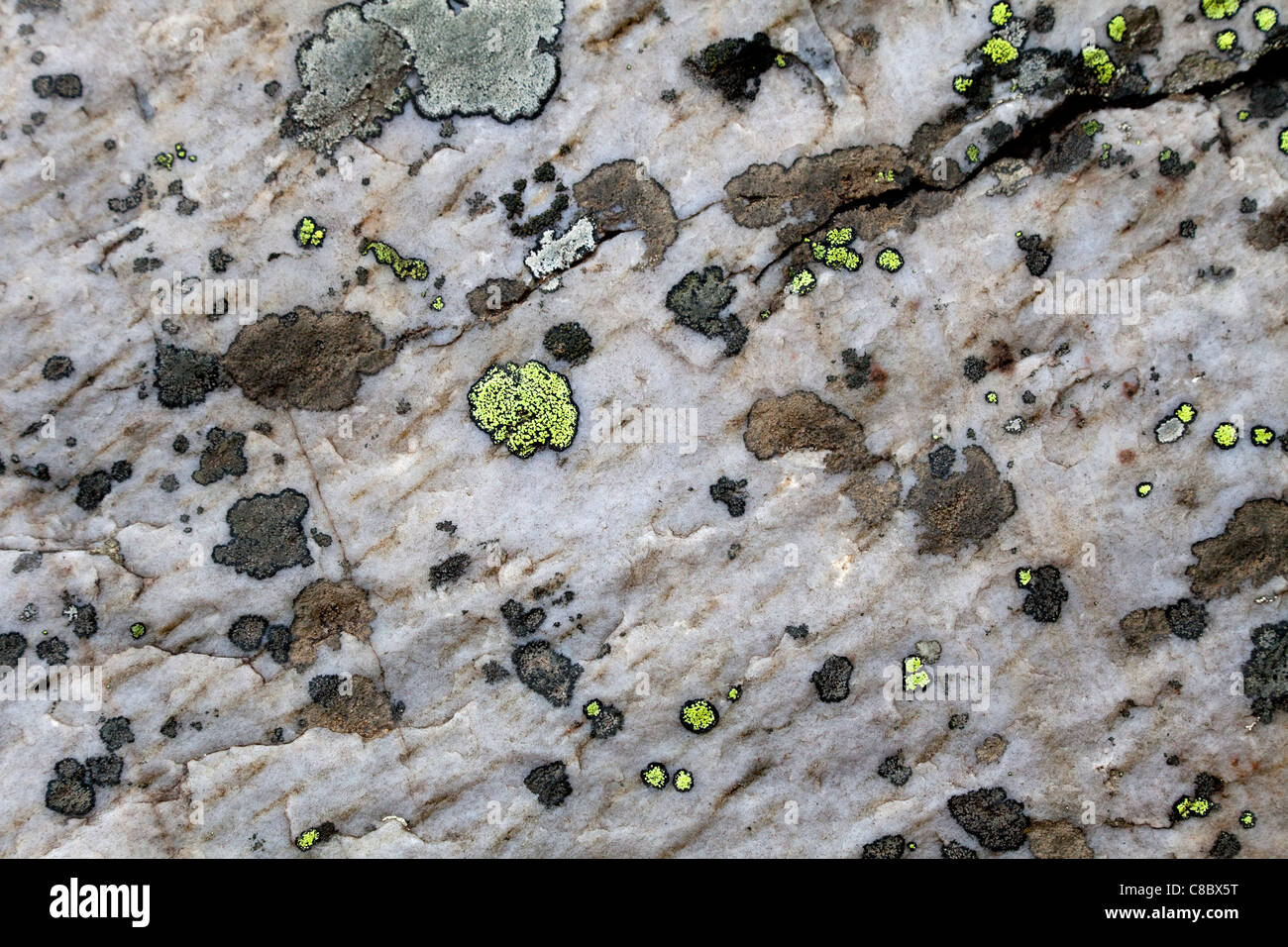Rock And Moss Texture High Resolution Stock Photography and Images - Alamy