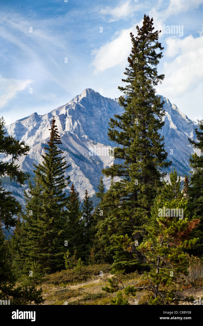 Cascade Mountain. Banff National park. Alberta. Canada, Oct. 2011 Stock Photo - Alamy
