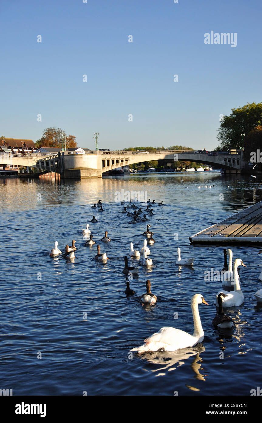 River Thames showing Caversham Bridge, Caversham, Reading, Berkshire ...
