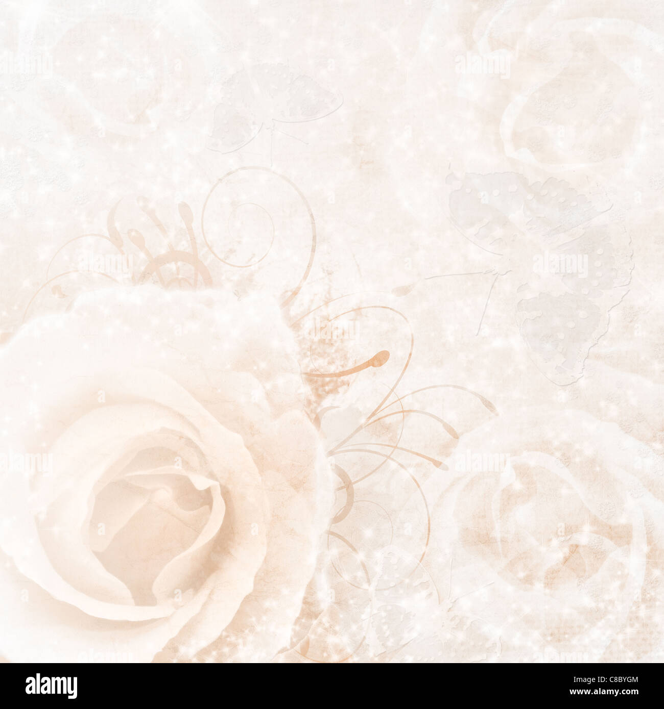 beige wedding background with roses Stock Photo - Alamy