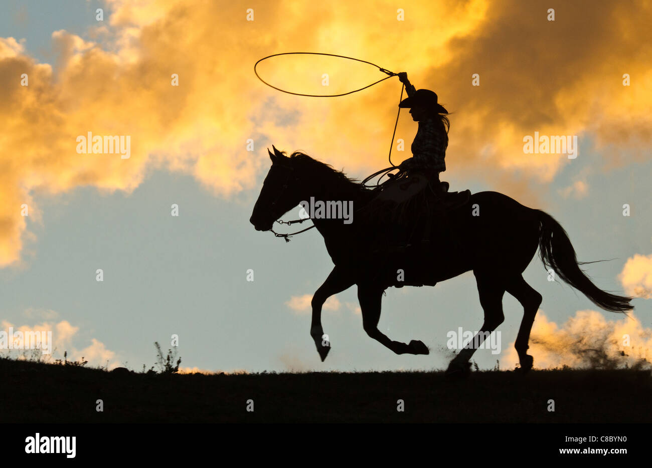 Silhouette of a cowgirl with a lasso against a dramatic clouds setting ...