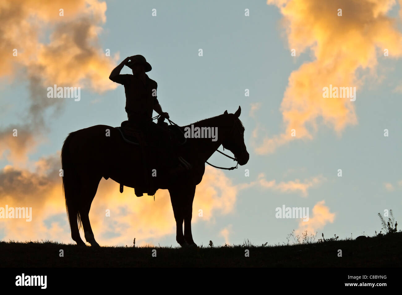 Silhouette man horse against sunset hi-res stock photography and images ...