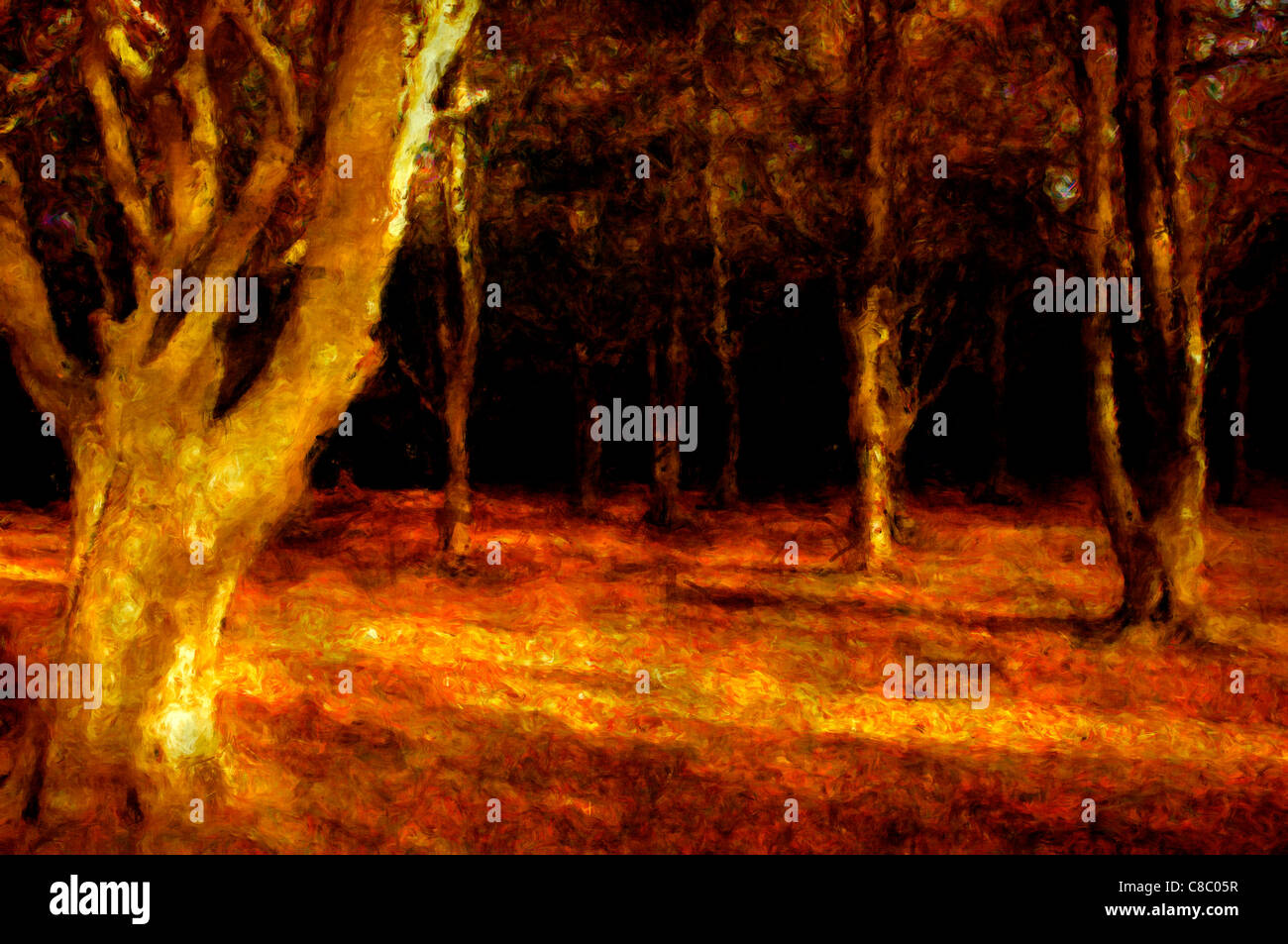 Drawings Of Dark Trees