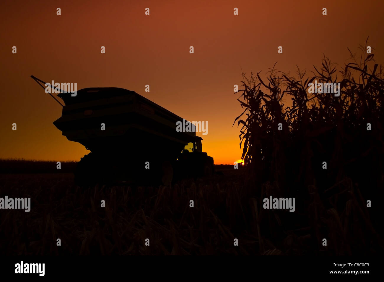 The sun is setting on this combine and corn field Stock Photo - Alamy