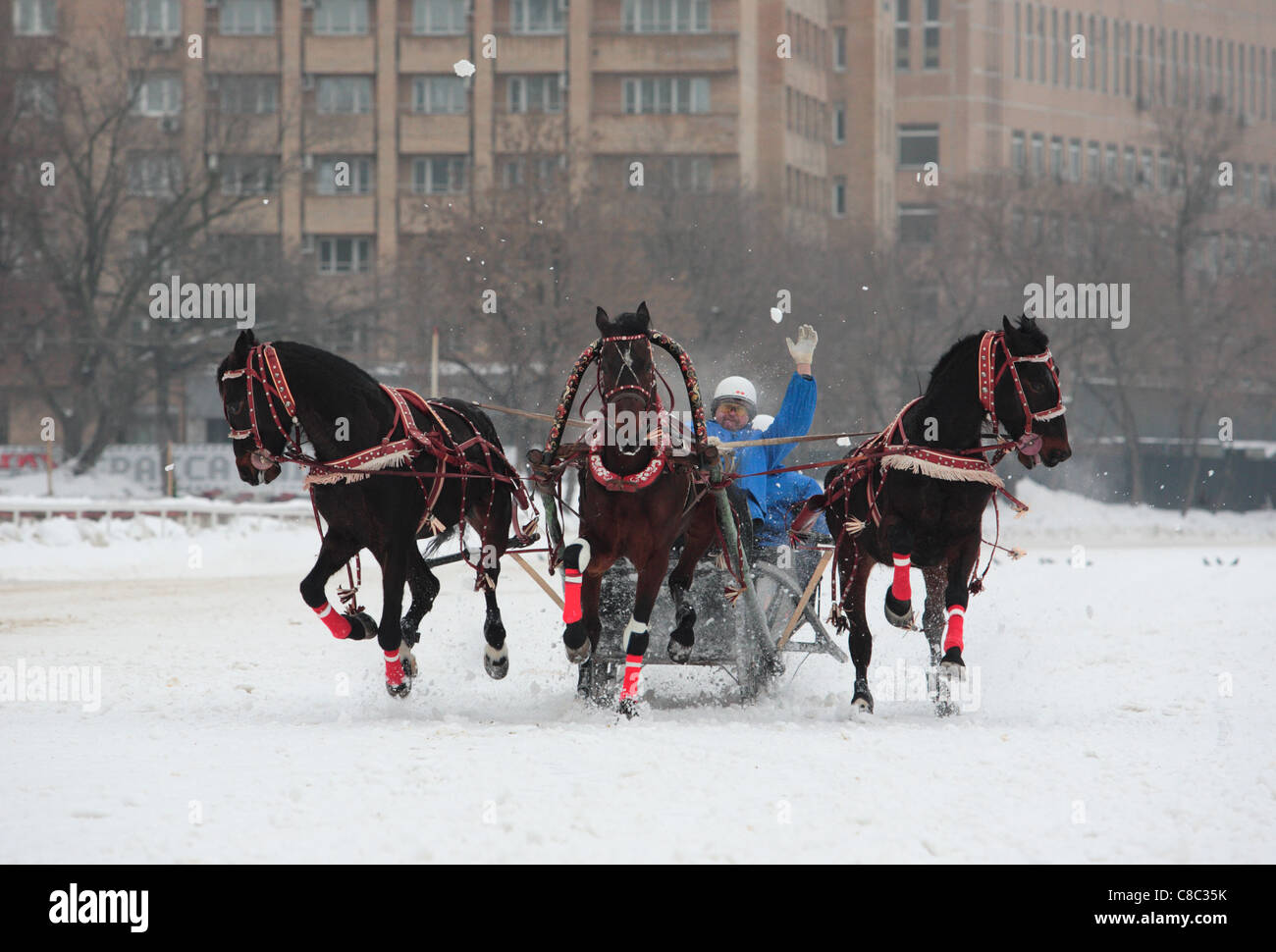 Orlov troika hi-res stock photography and images - Alamy