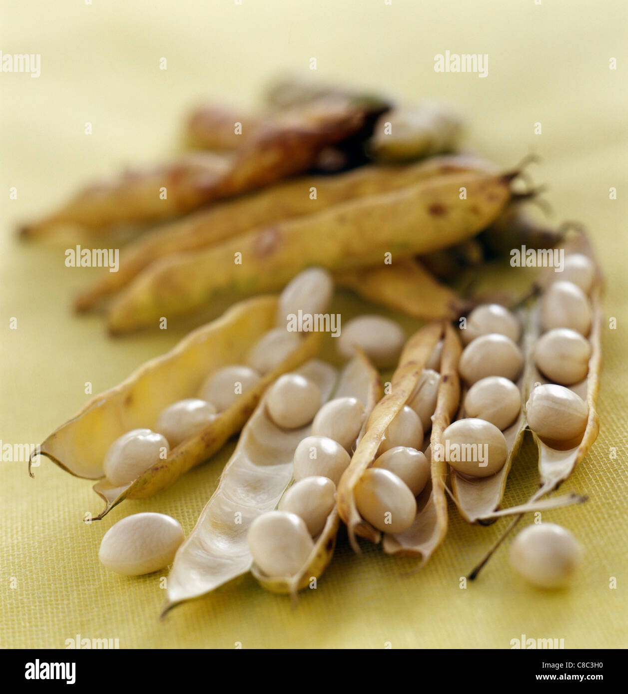 Paimpol dry white coco beans Stock Photo - Alamy