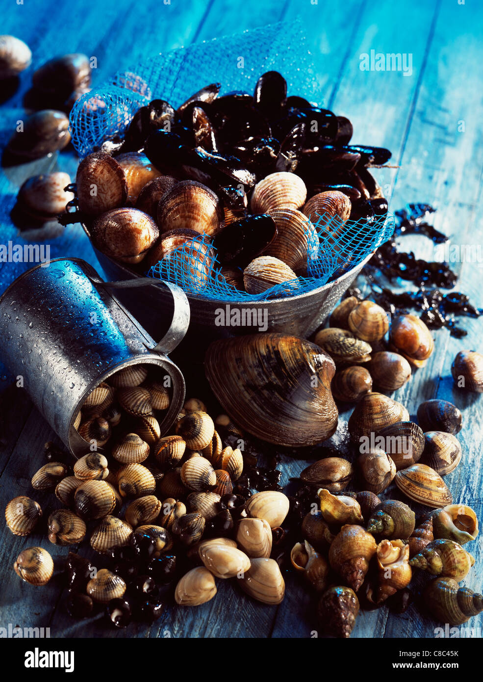 Shellfish measure hi-res stock photography and images - Alamy