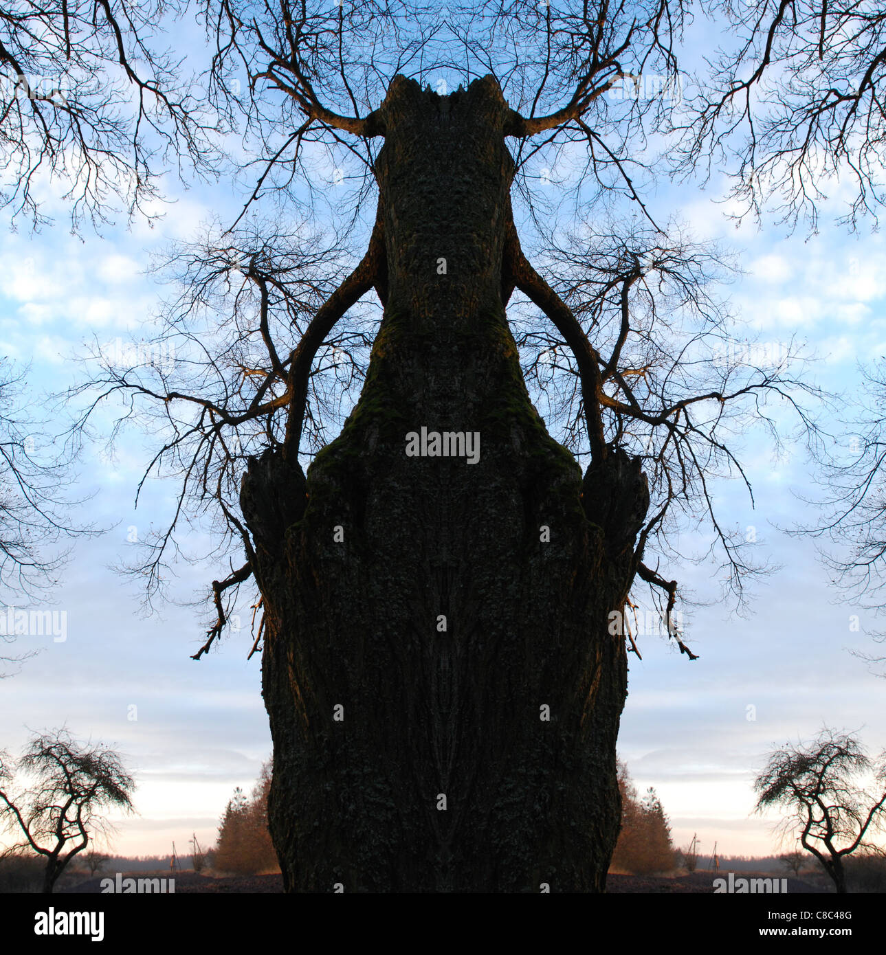 Symmetrical object hi-res stock photography and images - Alamy