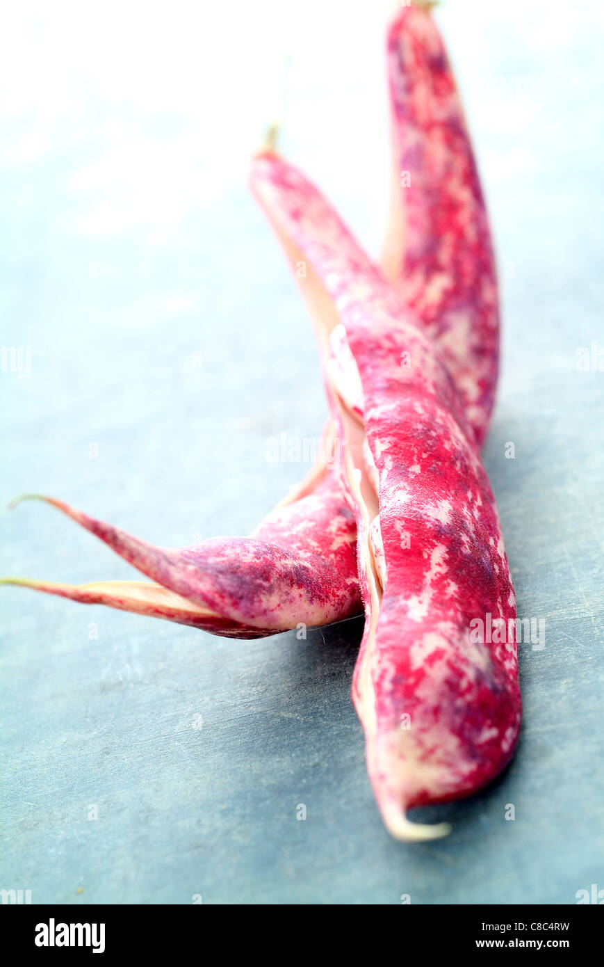 white coco beans in pod Stock Photo - Alamy