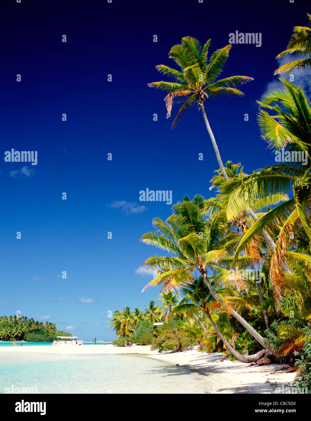 Atoll, Palm Trees & Tropical Beach, Aitutaki Island, Cook Islands ...