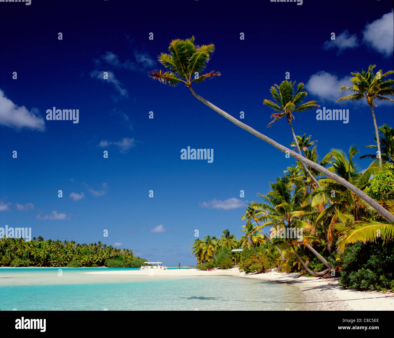 Atoll, Palm Trees & Tropical Beach, Aitutaki Island, Cook Islands ...
