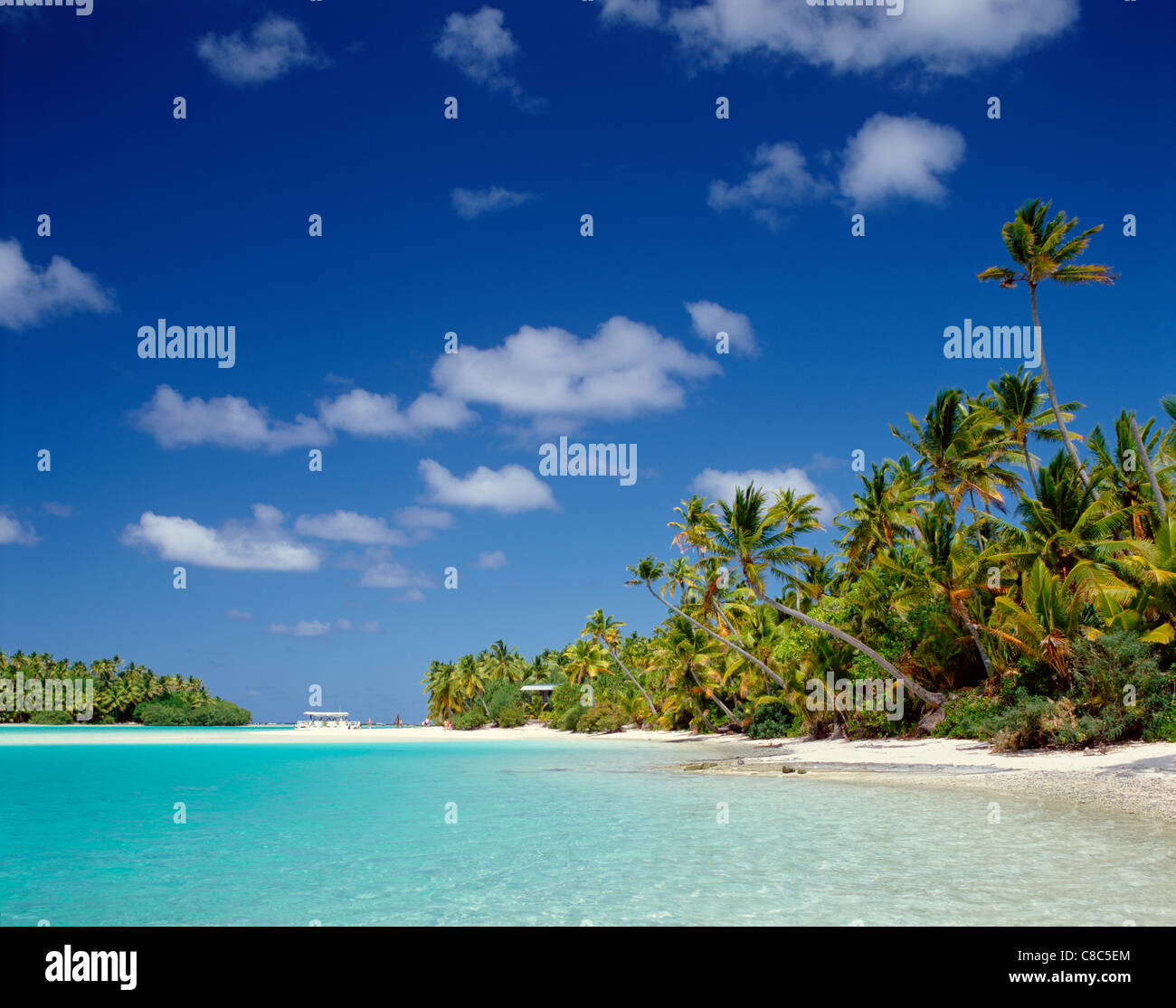 Atoll, Palm Trees & Tropical Beach, Aitutaki Island, Cook Islands ...