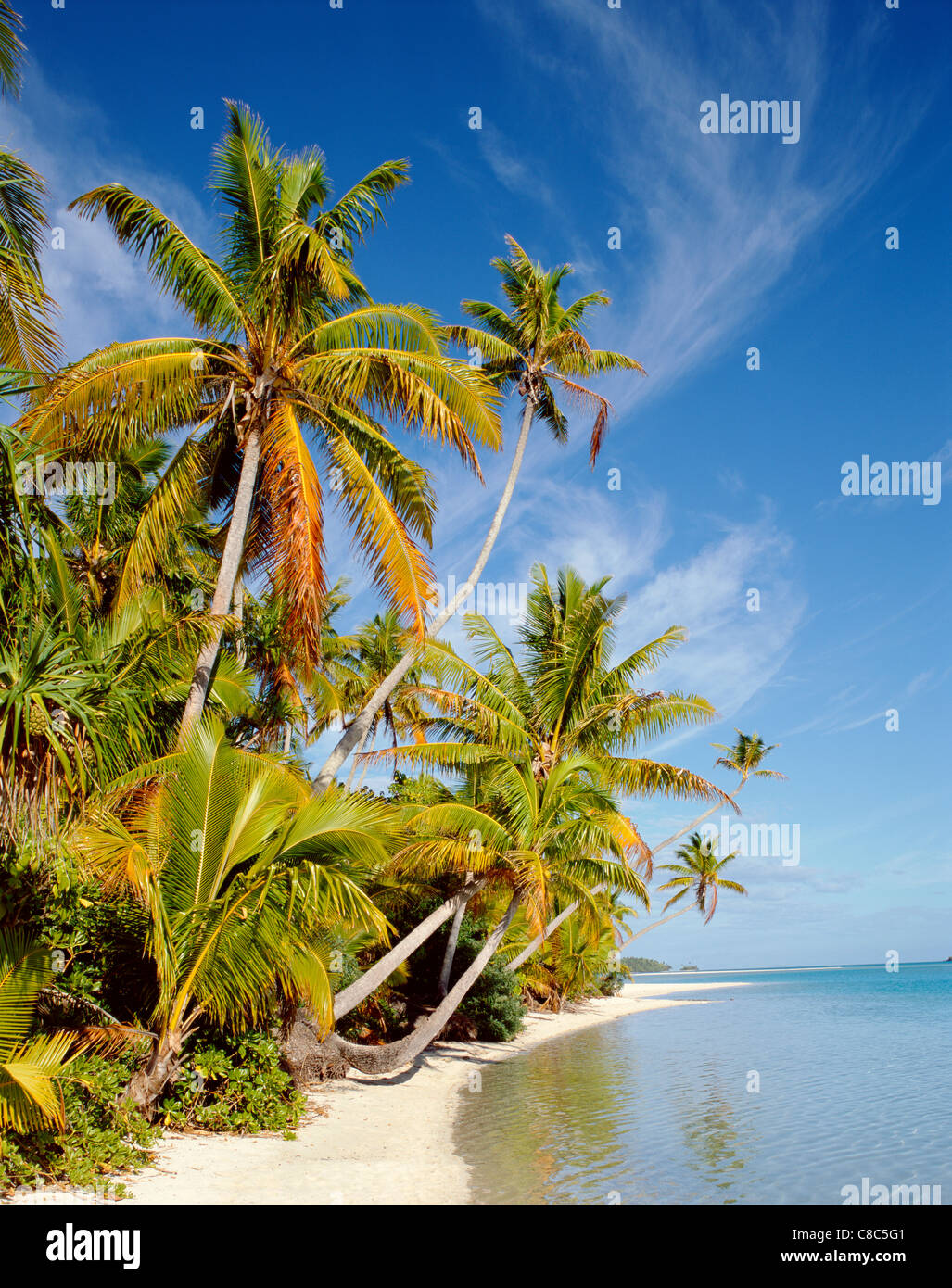 Atoll, Palm Trees & Tropical Beach, Aitutaki Island, Cook Islands ...