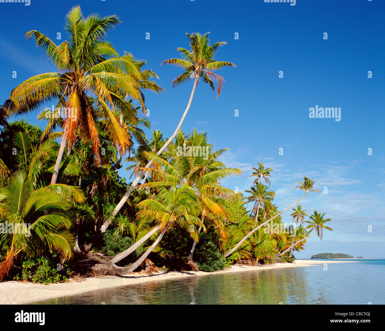 Atoll, Palm Trees & Tropical Beach, Aitutaki Island, Cook Islands ...