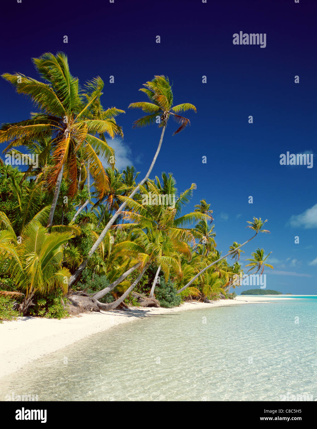 Atoll, Palm Trees & Tropical Beach, Aitutaki Island, Cook Islands ...
