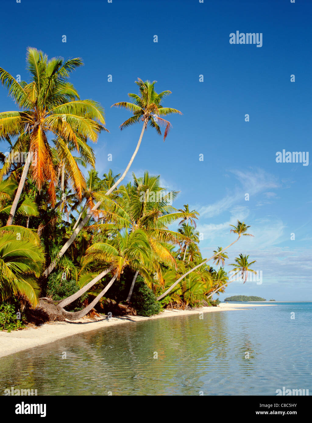 Atoll, Palm Trees & Tropical Beach, Aitutaki Island, Cook Islands ...