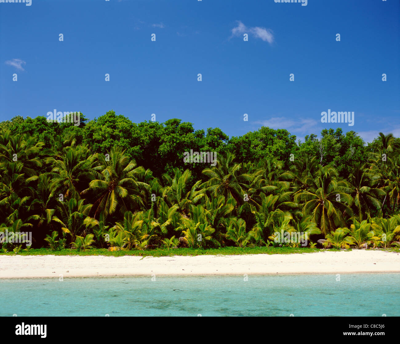 Atoll, Palm Trees & Tropical Beach, Aitutaki Island, Cook Islands ...