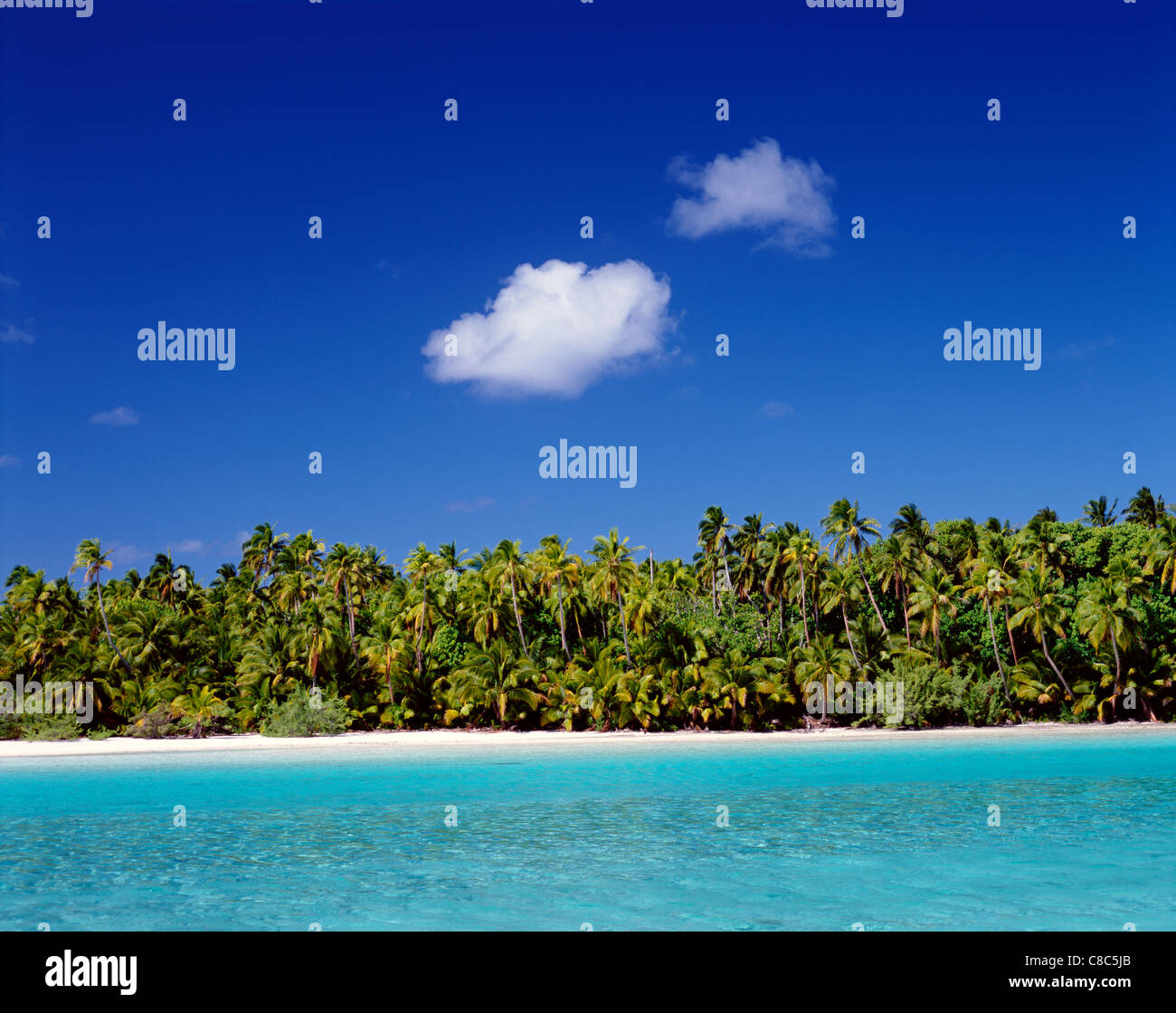 Atoll, Palm Trees & Tropical Beach, Aitutaki Island, Cook Islands ...