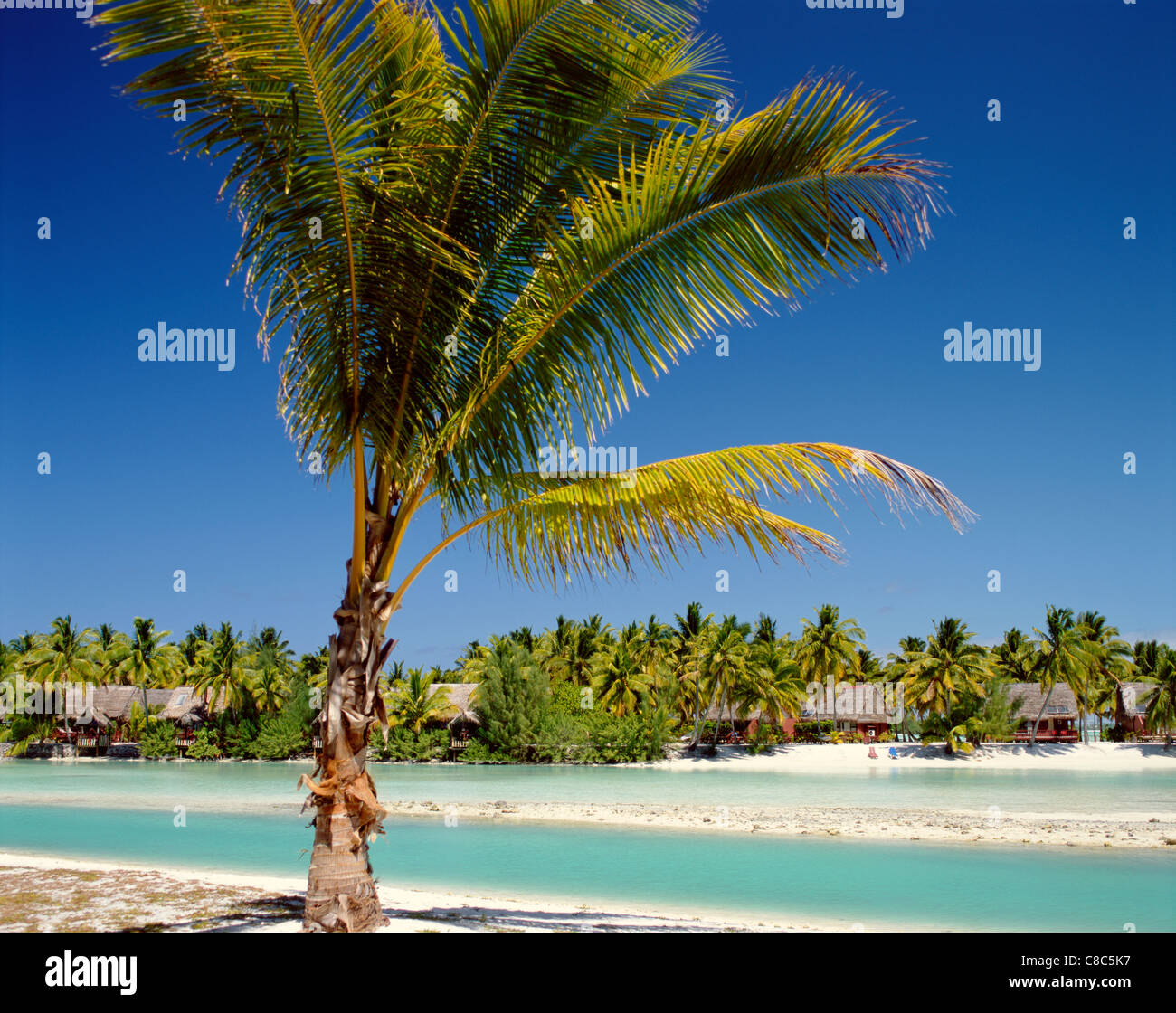 Atoll, Palm Trees & Tropical Beach, Aitutaki Island, Cook Islands ...