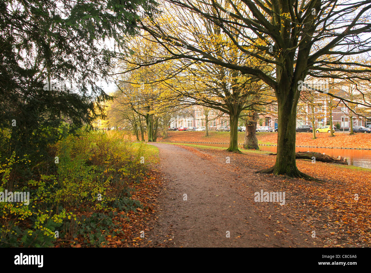 Path in fall park Stock Photo - Alamy