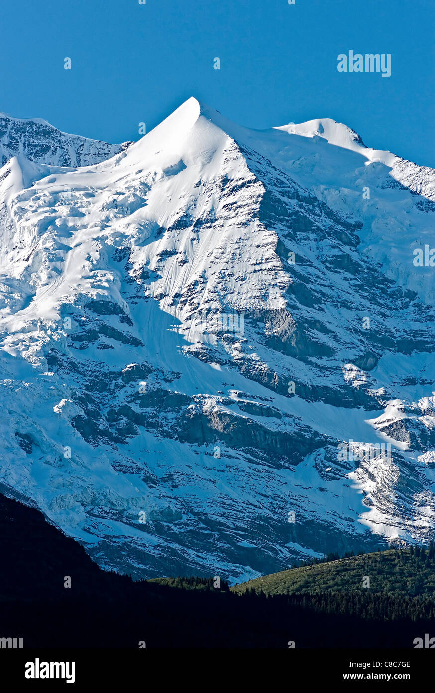 Silberhorn hi-res stock photography and images - Alamy