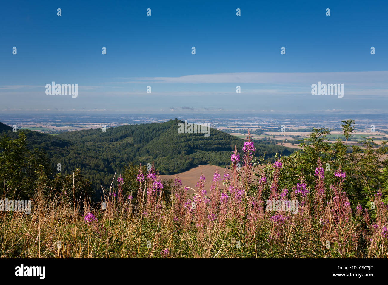 Hood Hill near Sutton Bank, North Yorkshire Stock Photo - Alamy