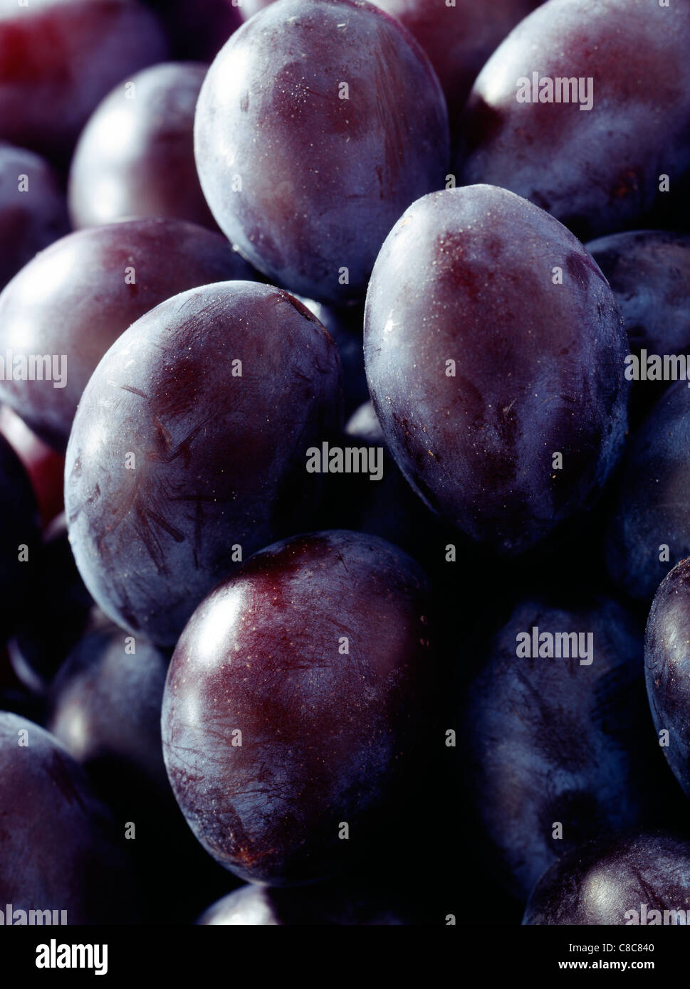 Quetsch hi-res stock photography and images - Alamy