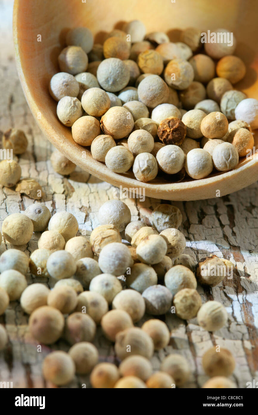 White pepper corns Stock Photo - Alamy
