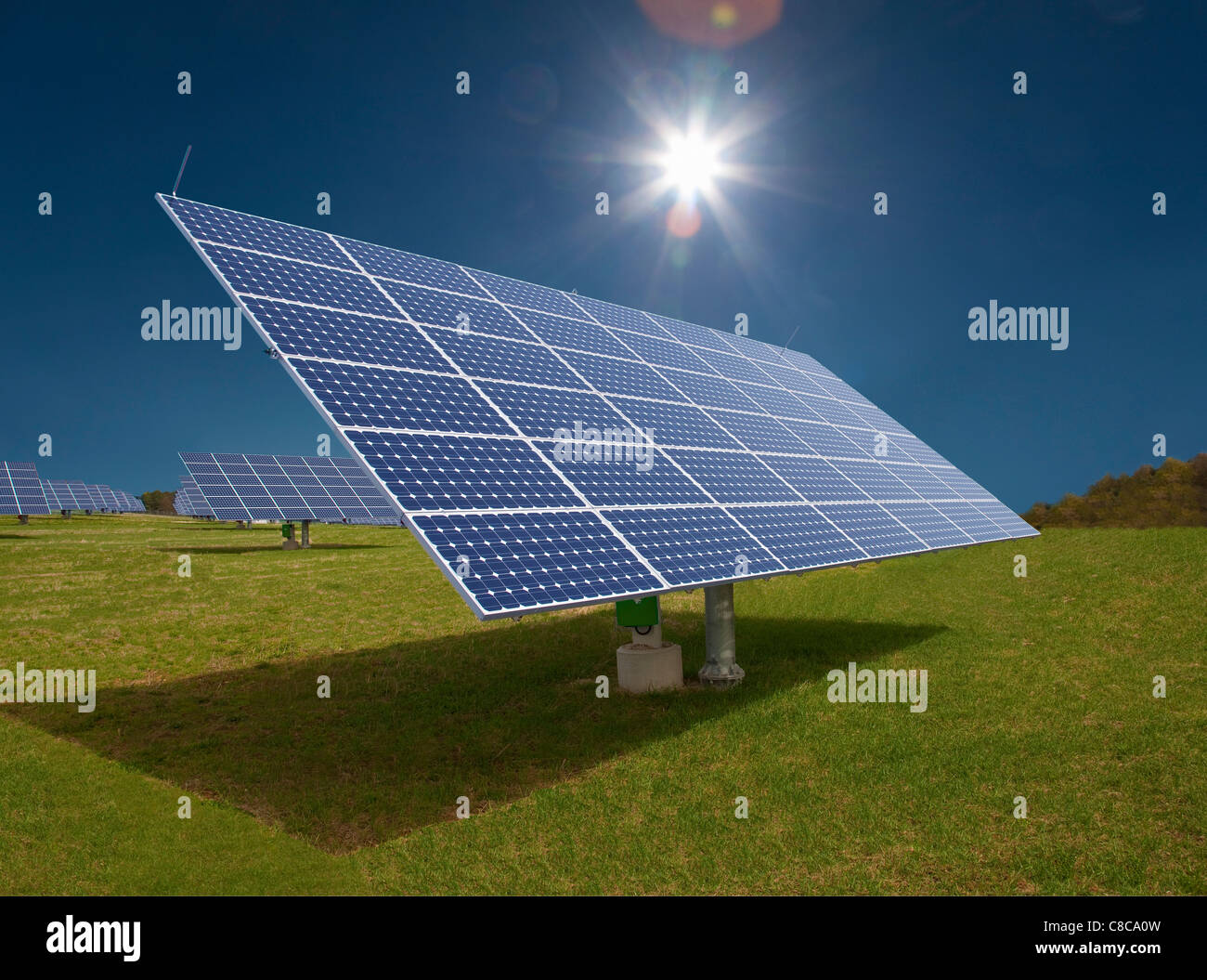 Solar panels in field Stock Photo - Alamy