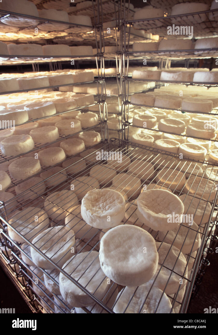 Cheeses maturing on rack hi-res stock photography and images - Alamy