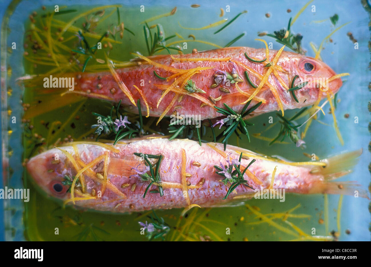 Surmullet with rosemary Stock Photo - Alamy