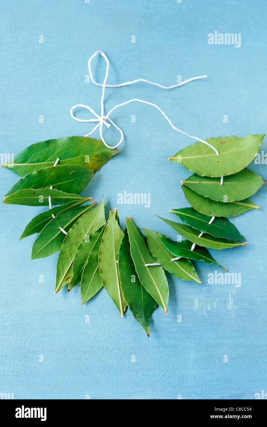Bay leaf crown hi-res stock photography and images - Alamy