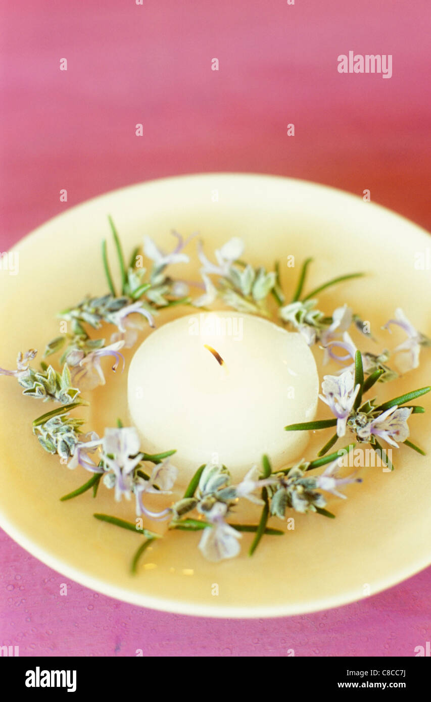 rosemary table centerpiece Stock Photo - Alamy