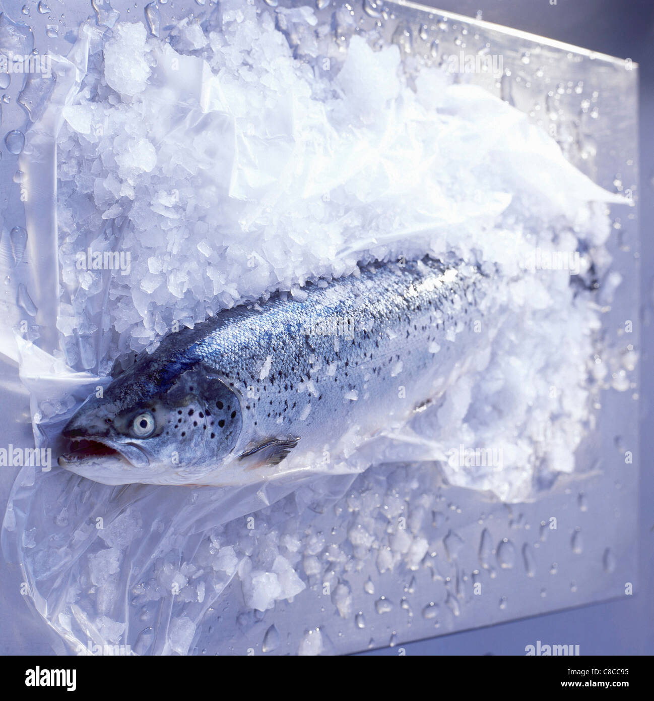 Ice merchant hi-res stock photography and images - Alamy