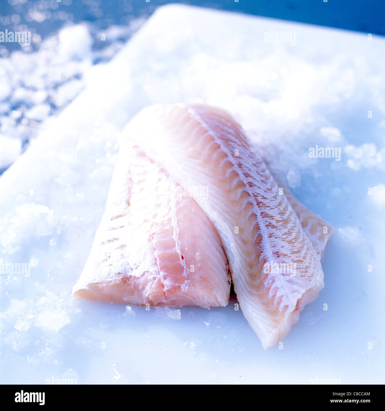 Fillets of fish Stock Photo - Alamy