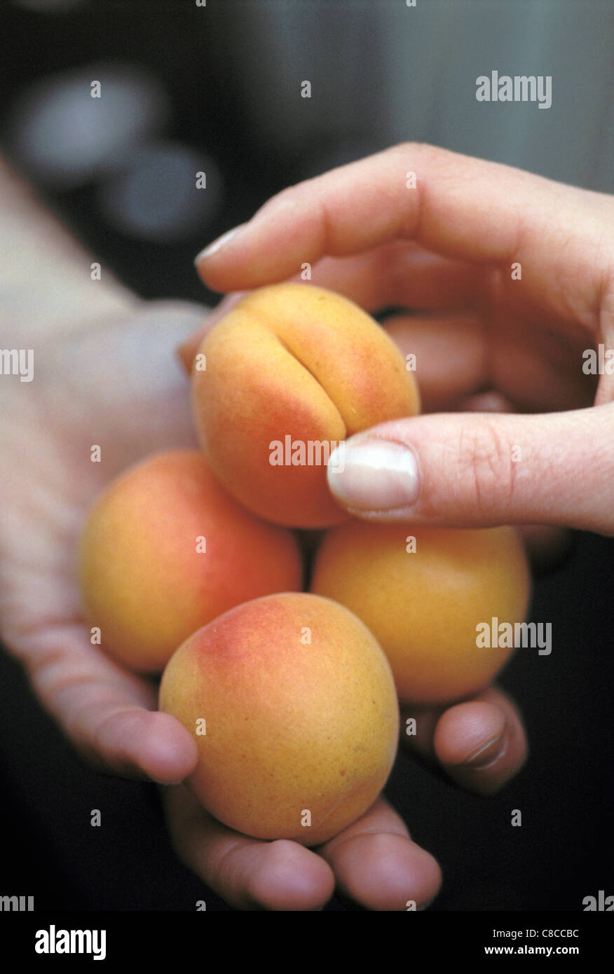 Apricot in hand hi-res stock photography and images - Alamy