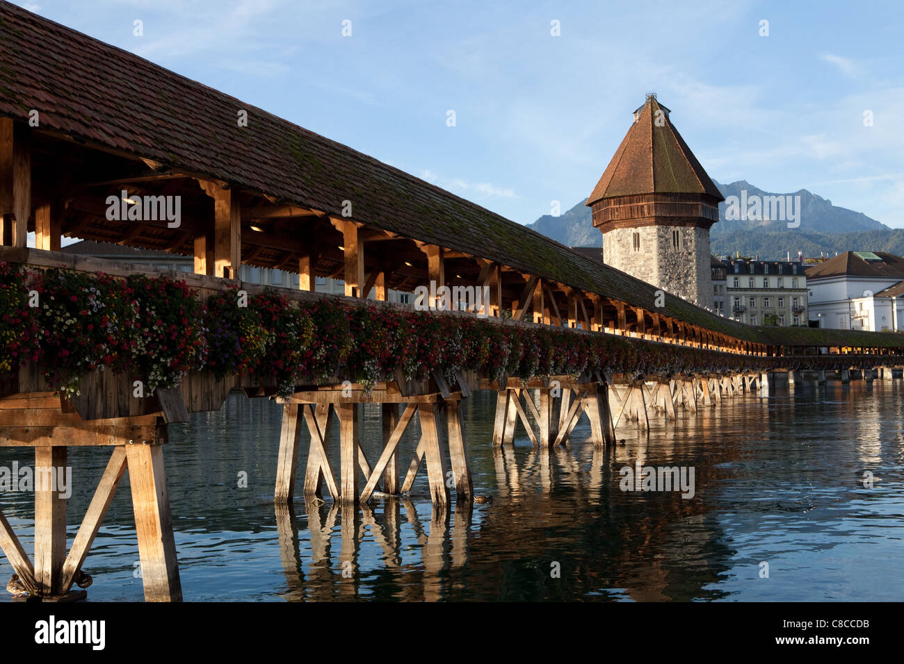 Kapellbrucke lucerne hi-res stock photography and images - Alamy