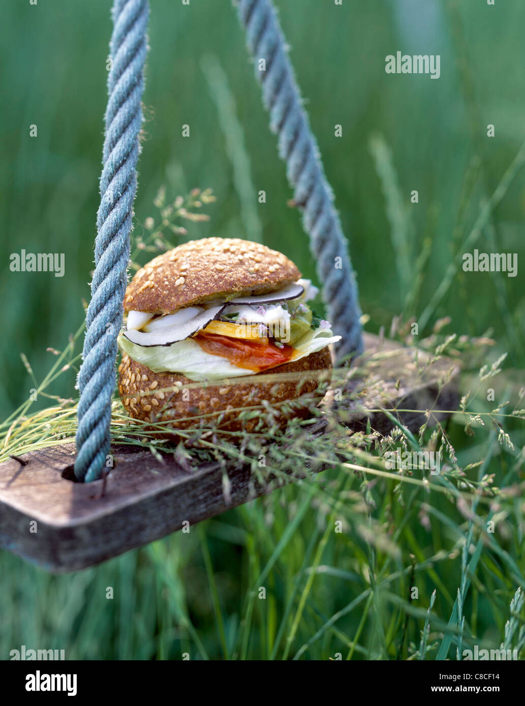 Dish swing hi-res stock photography and images - Alamy