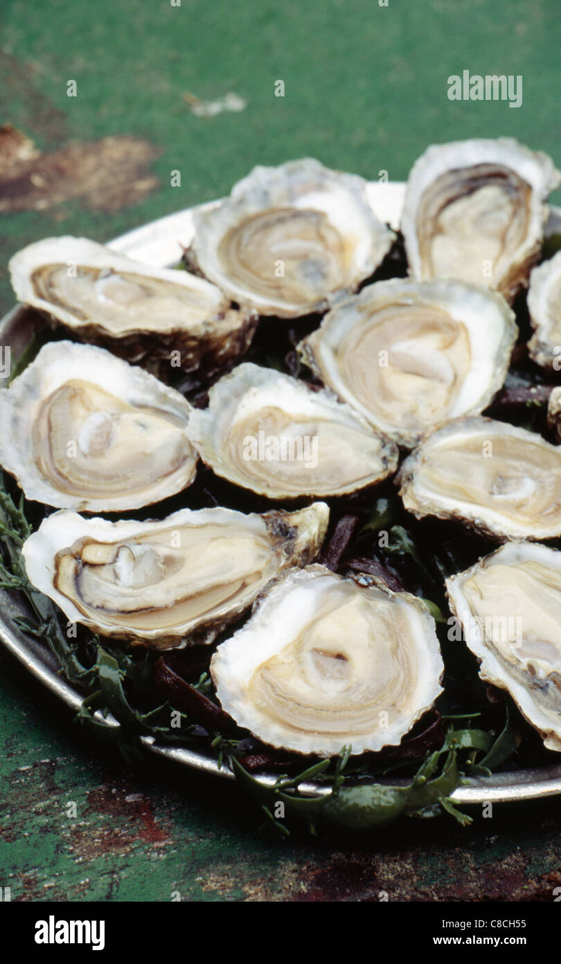 Belon oysters hi-res stock photography and images - Alamy
