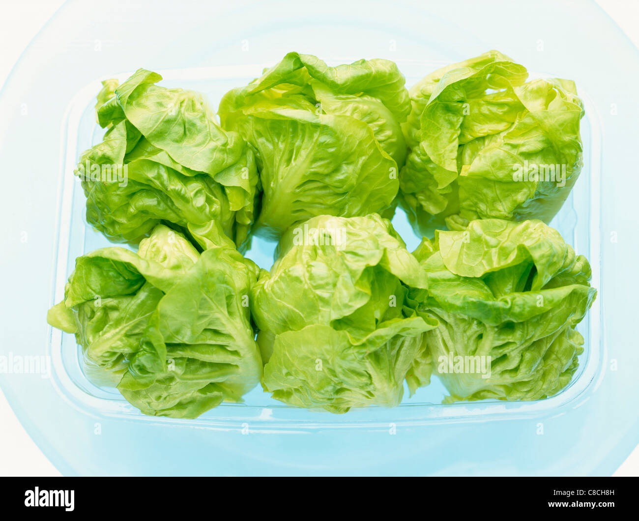 Punnet vegetable cut out hi-res stock photography and images - Alamy
