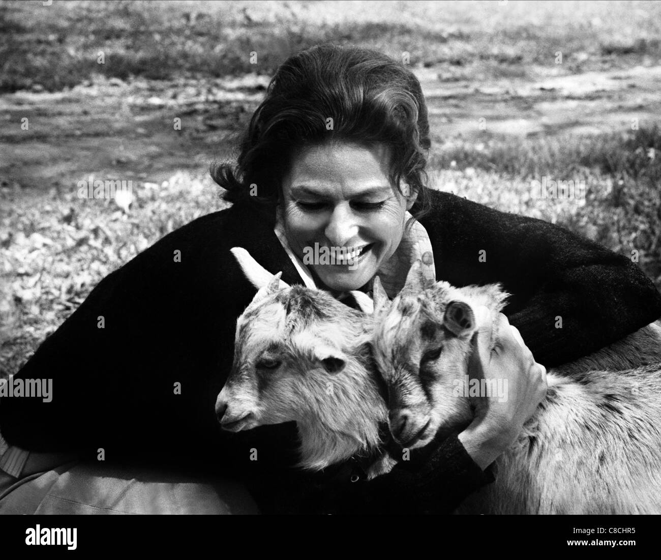 1970 Guy High Resolution Stock Photography and Images - Alamy