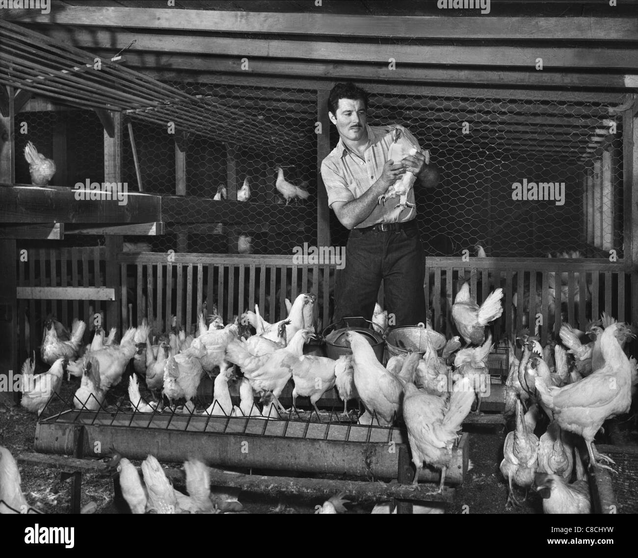 James craig hi-res stock photography and images - Alamy