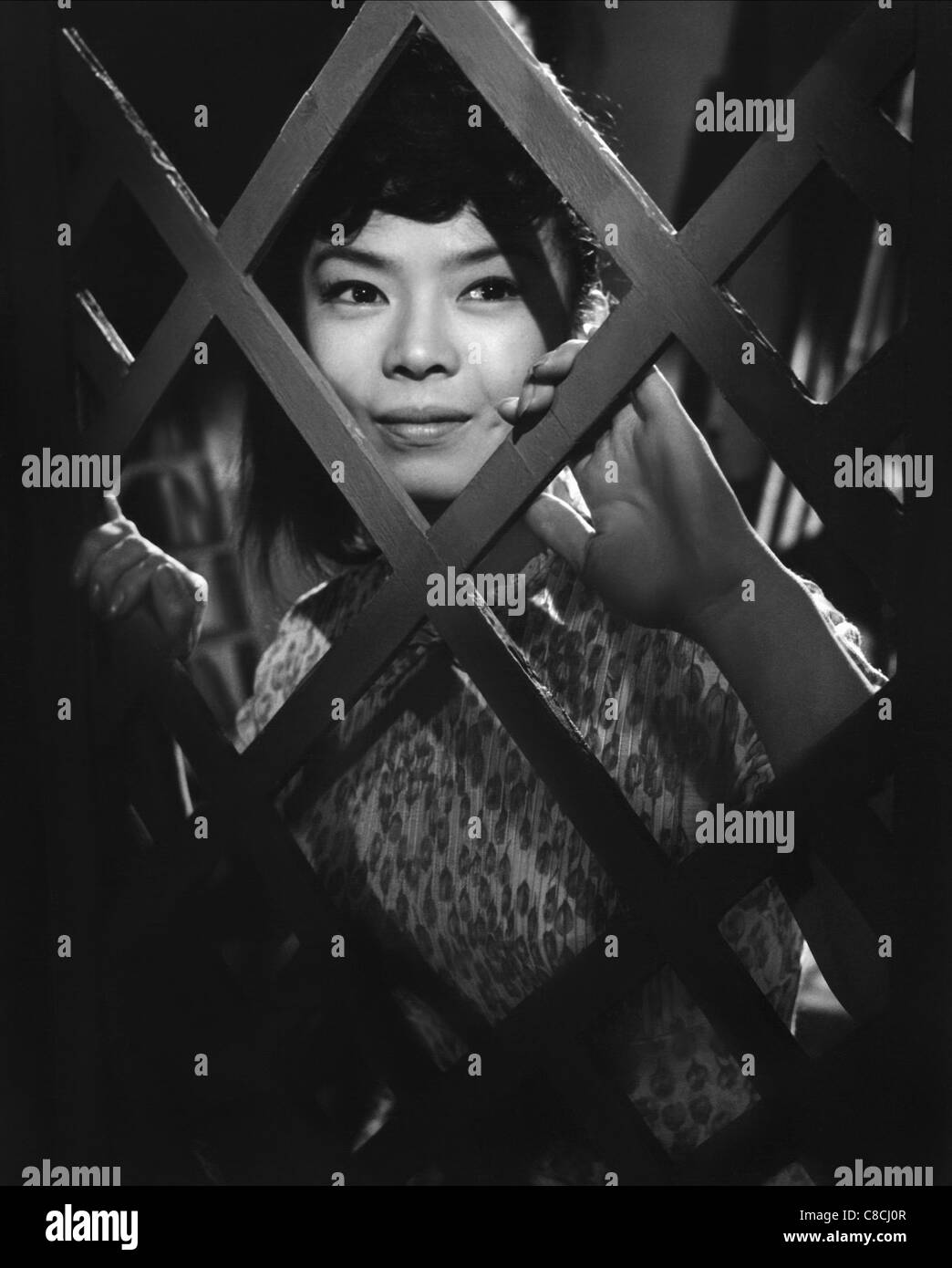 Yoko Tani High Resolution Stock Photography and Images - Alamy