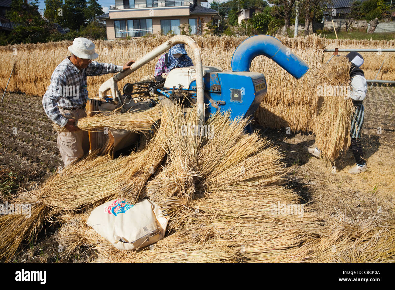 Rice Threshing Japan High Resolution Stock Photography and Images - Alamy