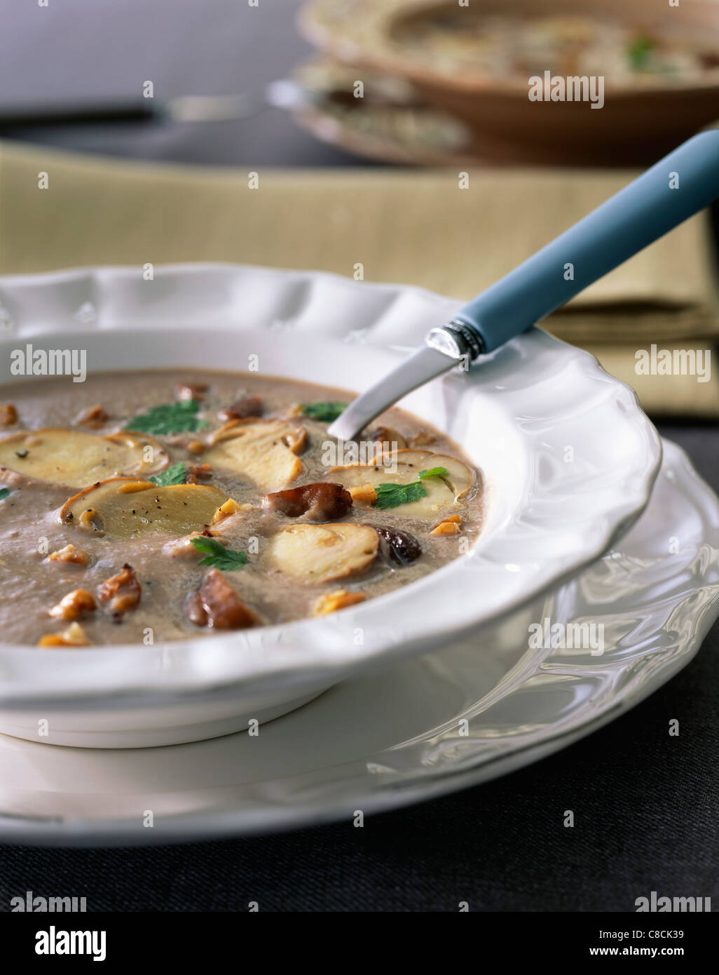 Cream of ceps Stock Photo - Alamy